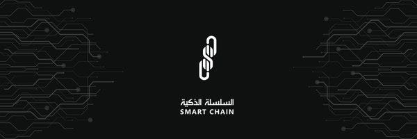 SmartChain LLC - Medium