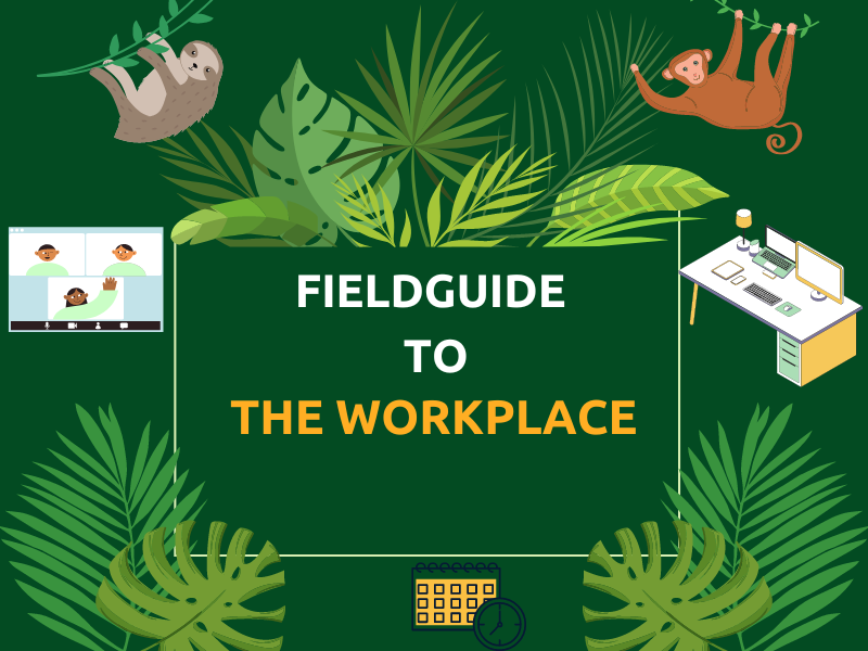 FIELD GUIDE TO THE WORKPLACE – Medium