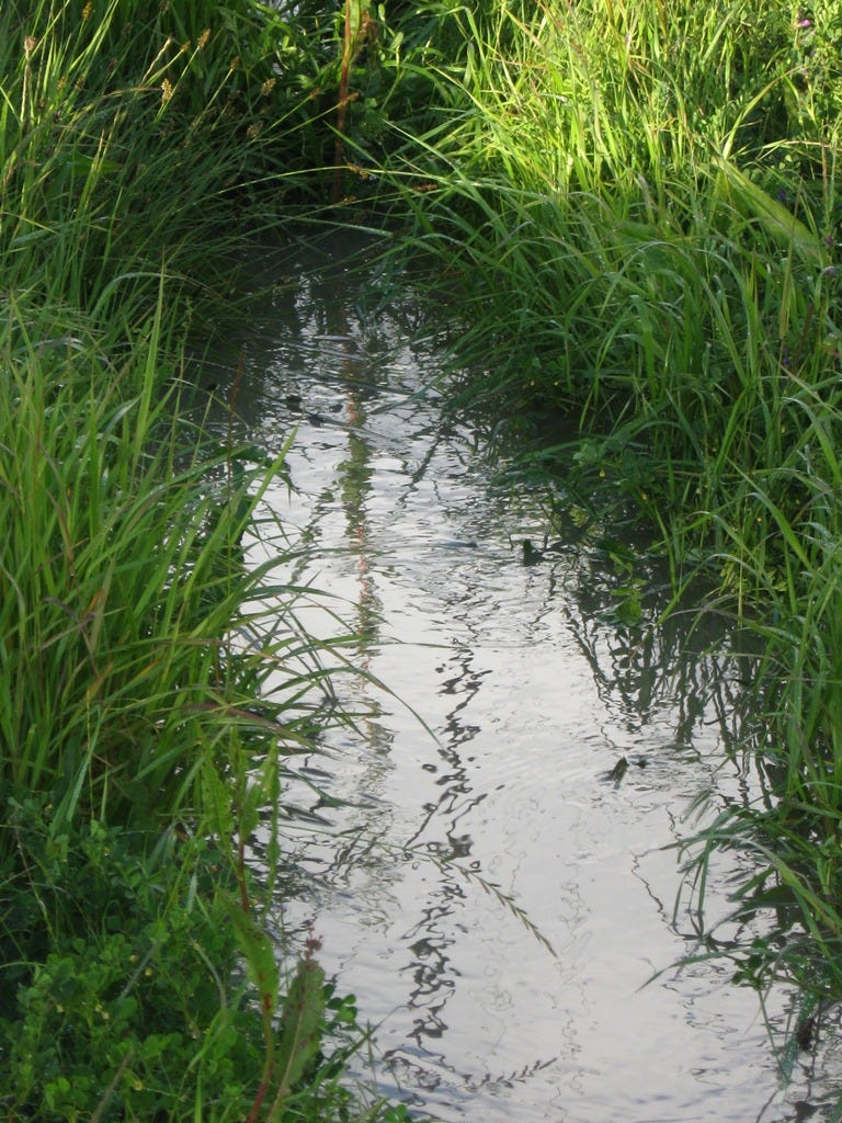 Floating Down the River - Medium