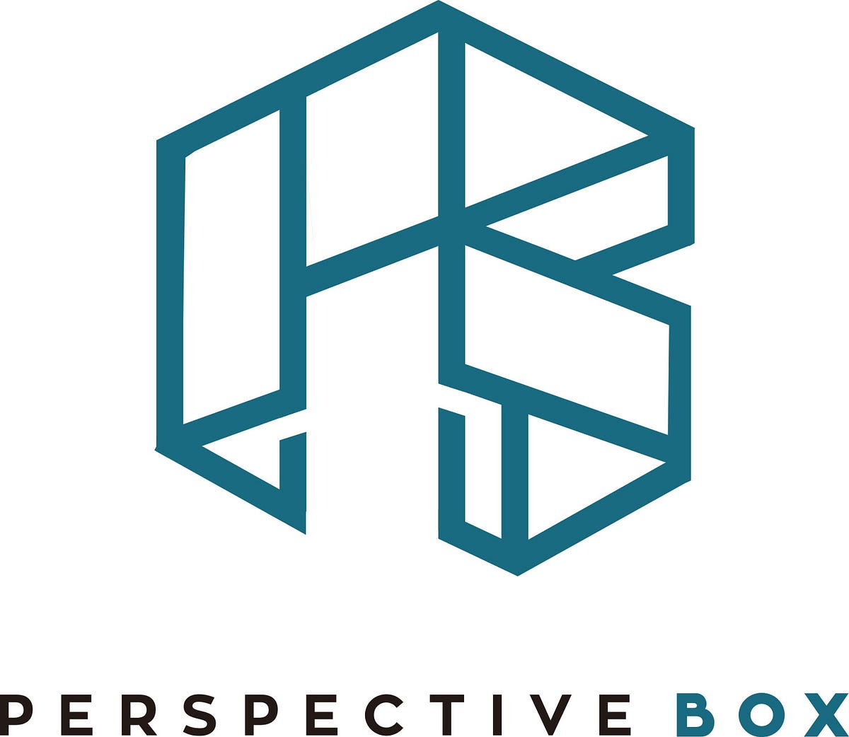 Perspective Box - Medium