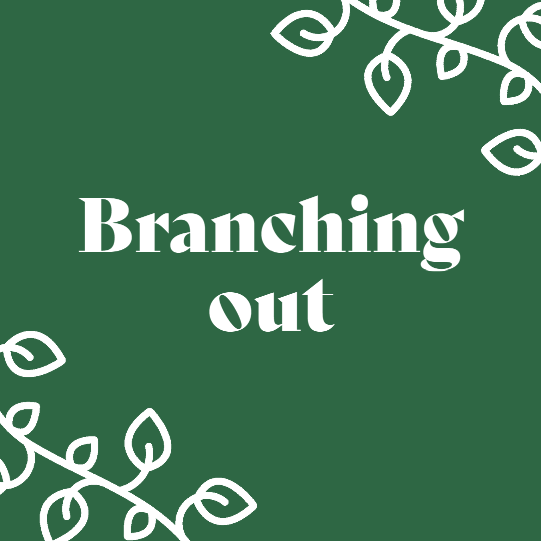 Branching Out in Marketing - Medium