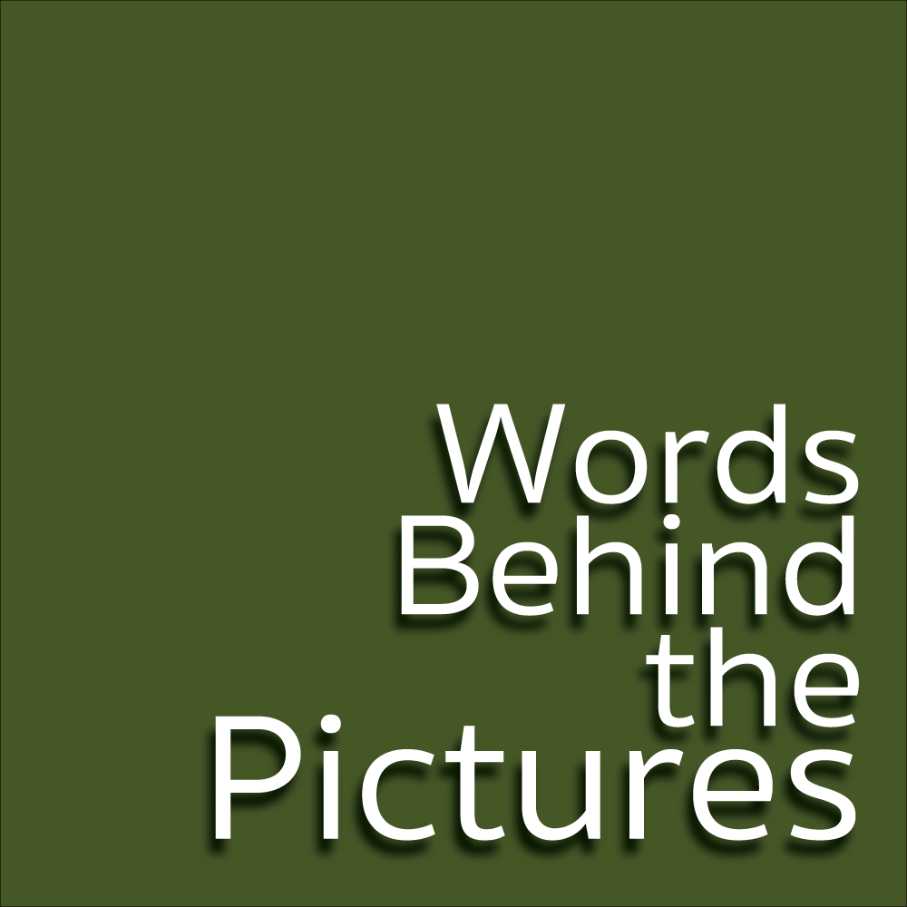 Words Behind the Pictures - Medium