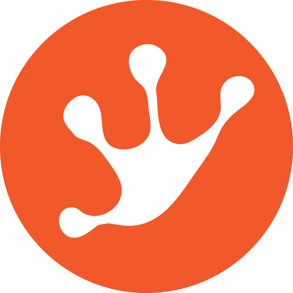 Hopping Frog Studios - Medium