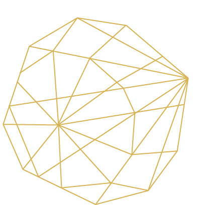 Concitor Insights - Medium