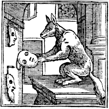 The Fox - Medium