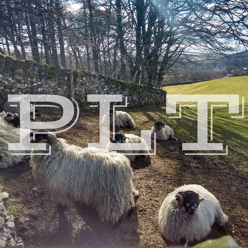 Path Less Traipsed - Medium