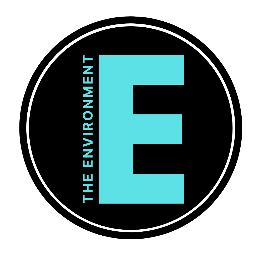 The Environment - Medium