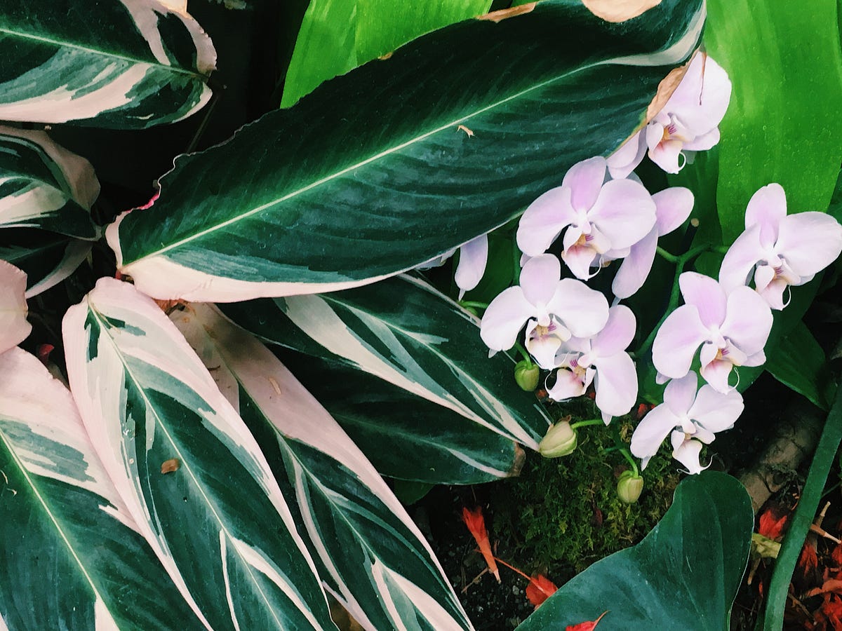 Stories – Dunneback-BCA332 – Medium