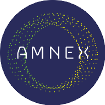 Amnex Infotechnologies – Medium