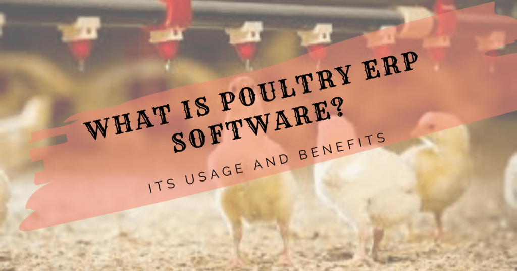 What is Poultry ERP Software? Its Usage and Benefits - Medium