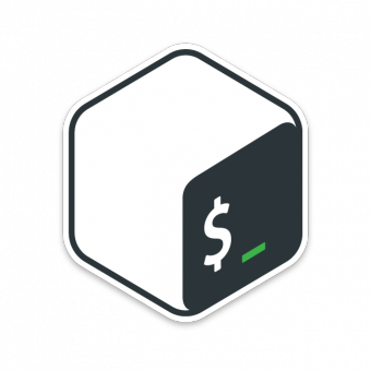 Bits of Shell – Medium