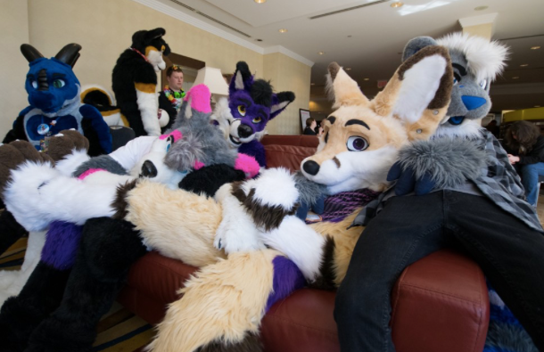Furries – Curated stories from Medium