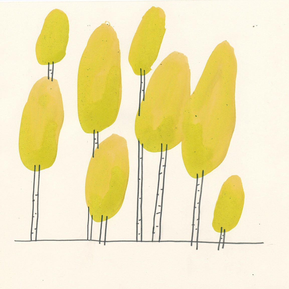 Pando, the tree - Medium