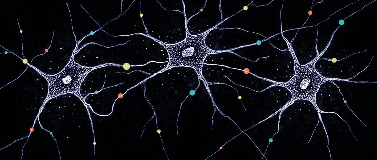 Firing Neurons - Medium