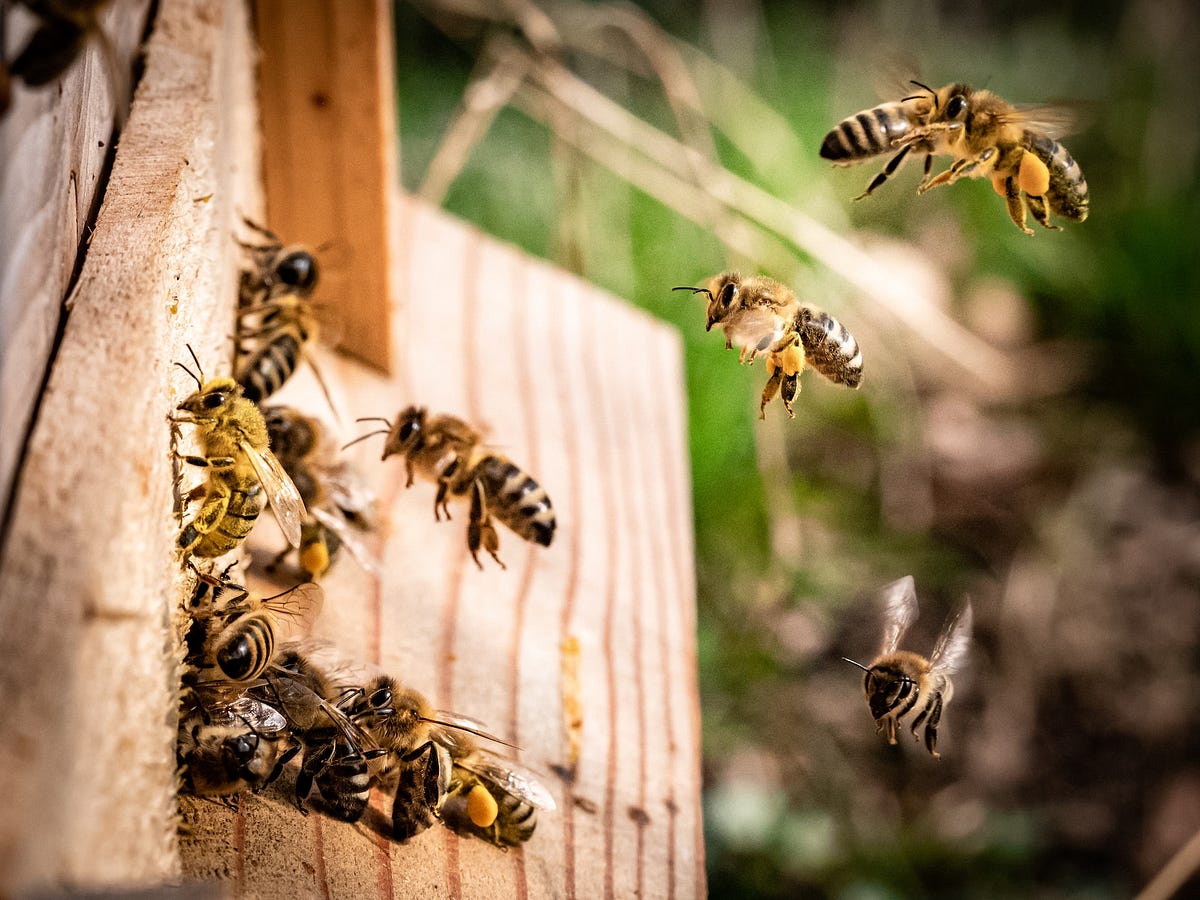 All About CloudBees - Medium