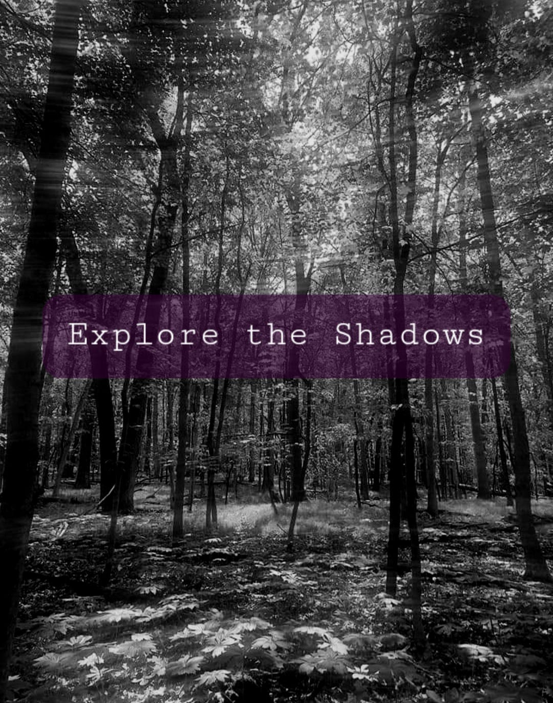 Explore the Shadows - Medium