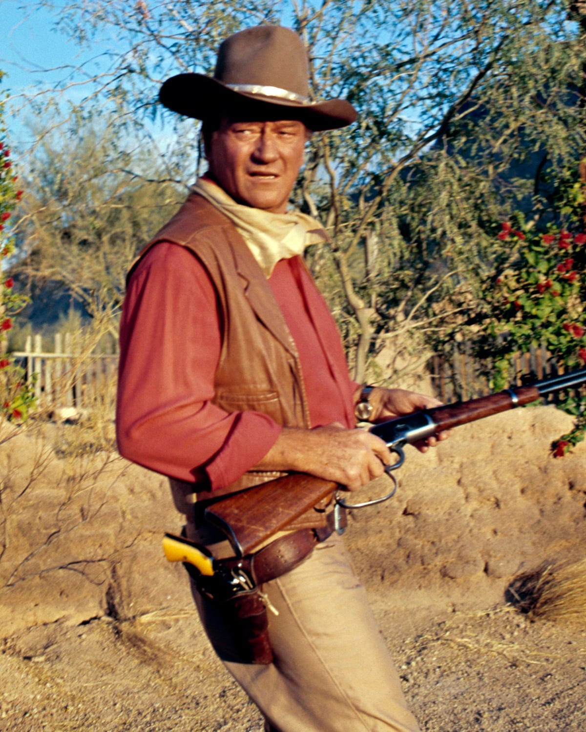 Data Science Cowboy - Medium