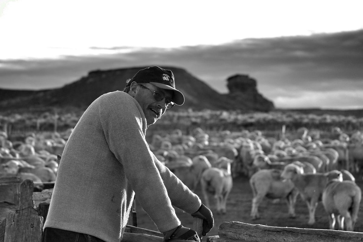Portraits Of Pastoralism – Cat Urbigkit – Medium