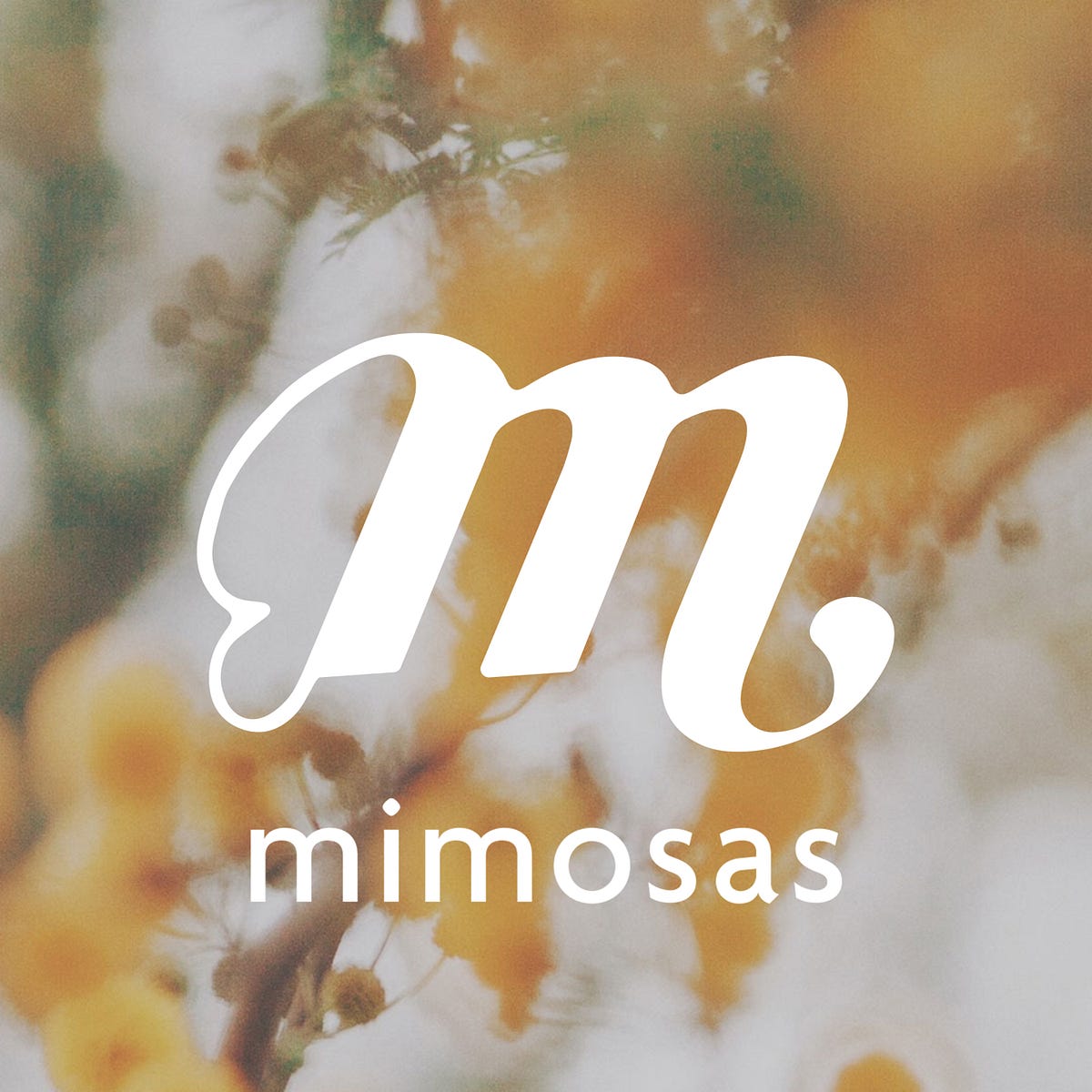 Trending stories published on mimosas – Medium
