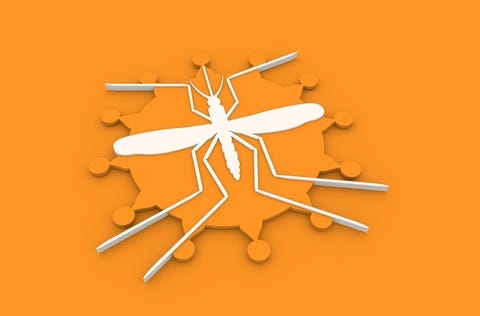 Infectious Diseases in the Philippines: A Handy Guide