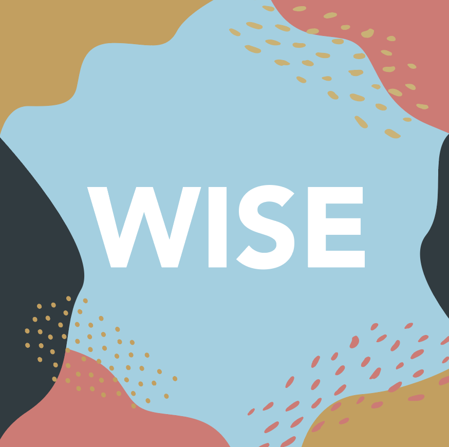 Northeastern WISE – Medium