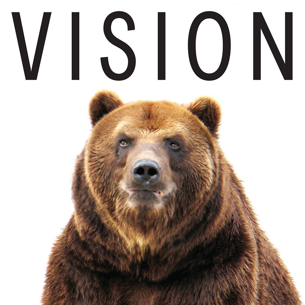 Vision Magazine 2024 - Medium
