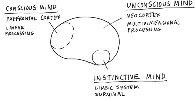 Liminal Coaching 101 The Model of the Brain and Mind