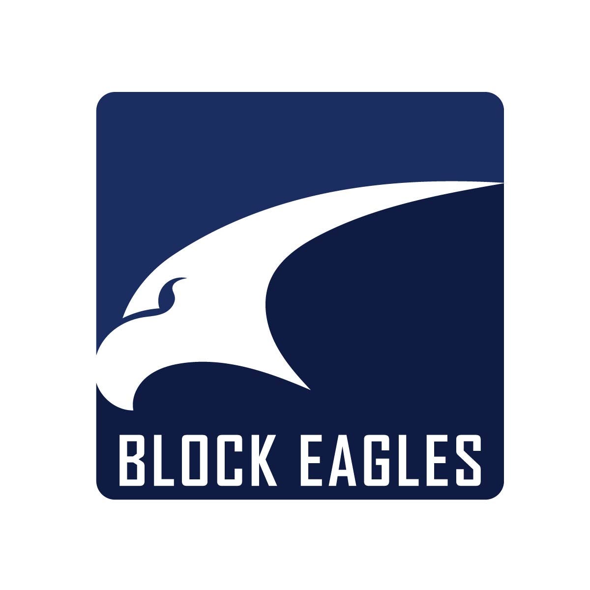 BlockEagles - Medium