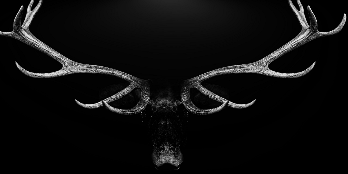 The Secret Stag - Medium