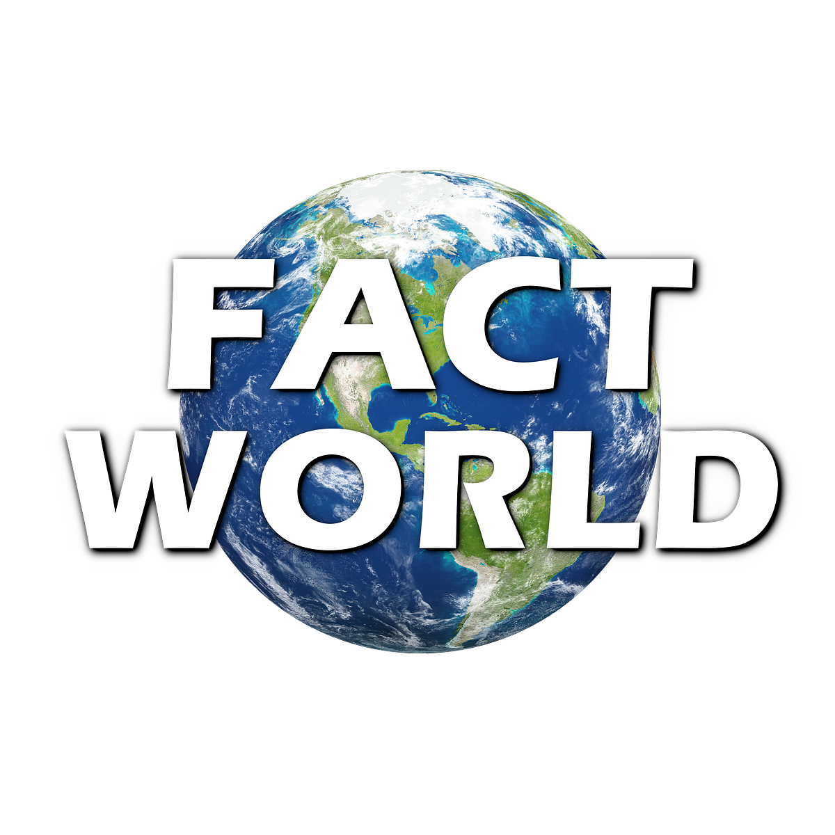 Fact World – Medium