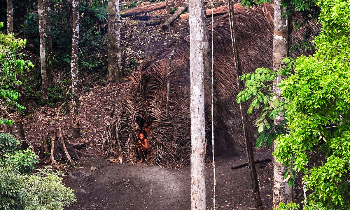 Isolated indigenous peoples are being massacred in Brazil. Here's why