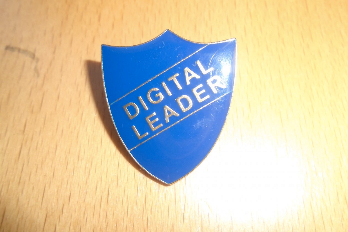 Digital leaders: who are they and what do they need?