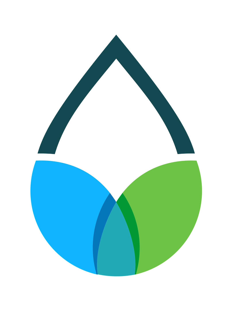 The Coaching Wellspring - Medium