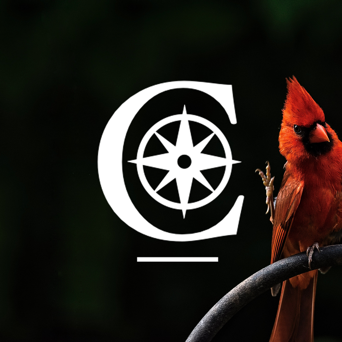 The Cardinal Periodical - Medium