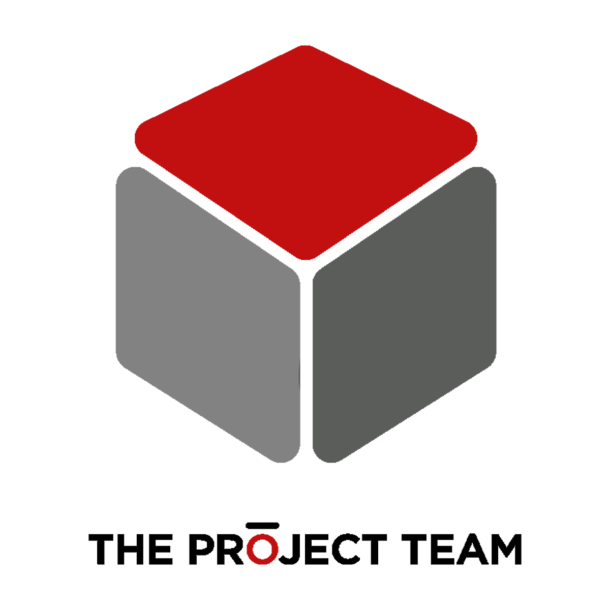 The Project Team Medium