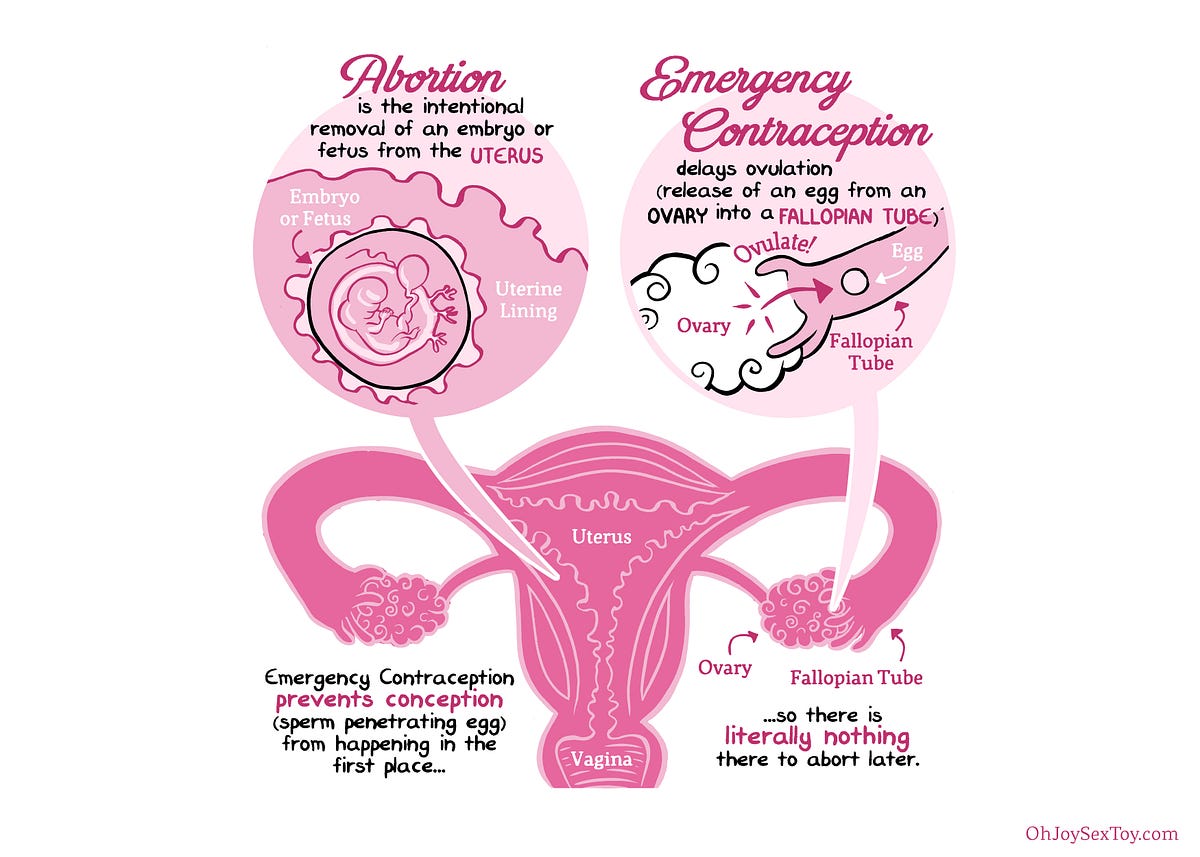 Your Guide To Emergency Contraception – The Nib – Medium