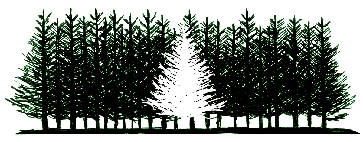 See the Forest for the Trees