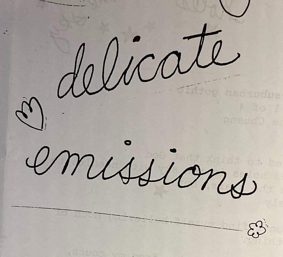 Delicate Emissions Poetry Zine - Medium