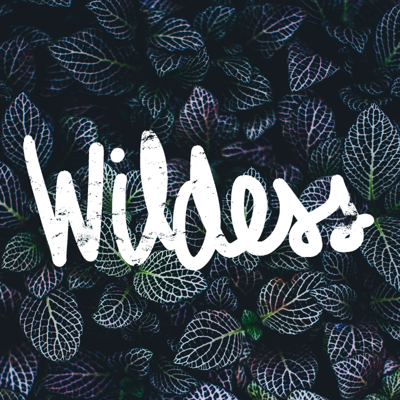 Wildess - Medium