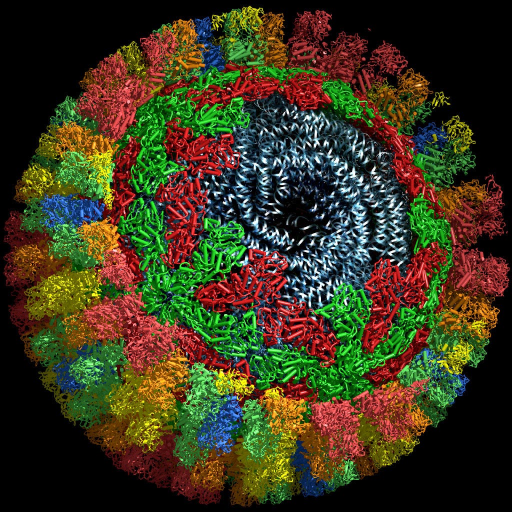 High containment: inside the world of virus research