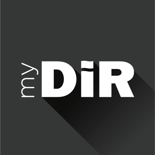 Daily Income Report – Medium