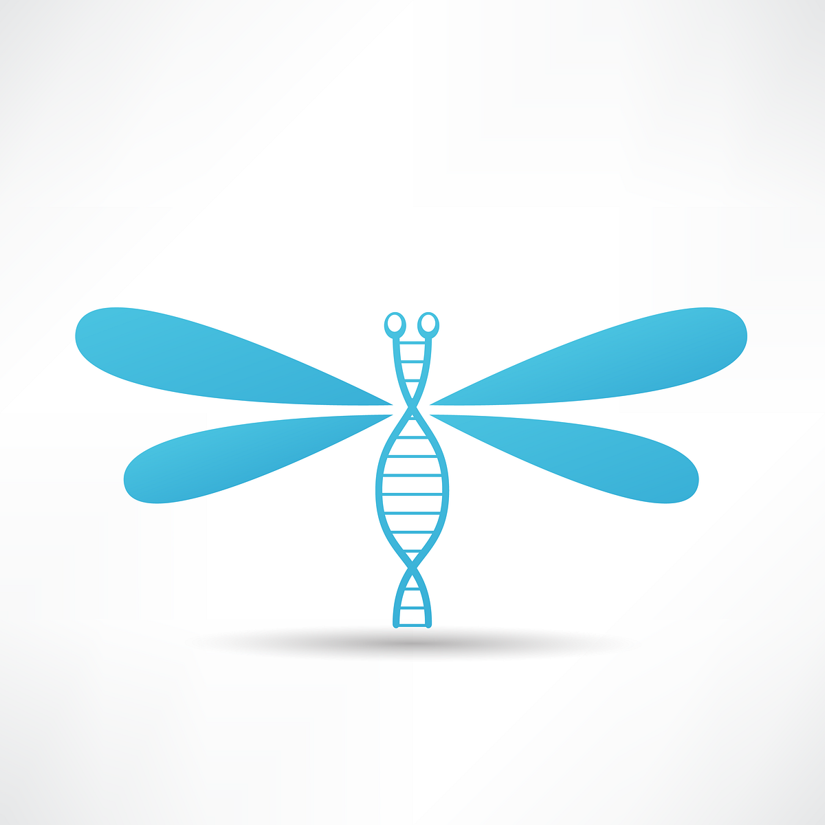 Dragonfly Engineering - Medium