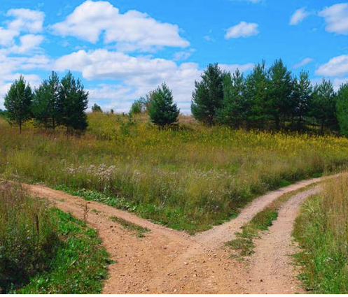 The Path Less Taken – Medium
