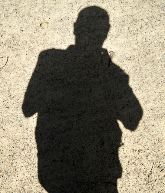 The Always Present Silent Shadow - Medium