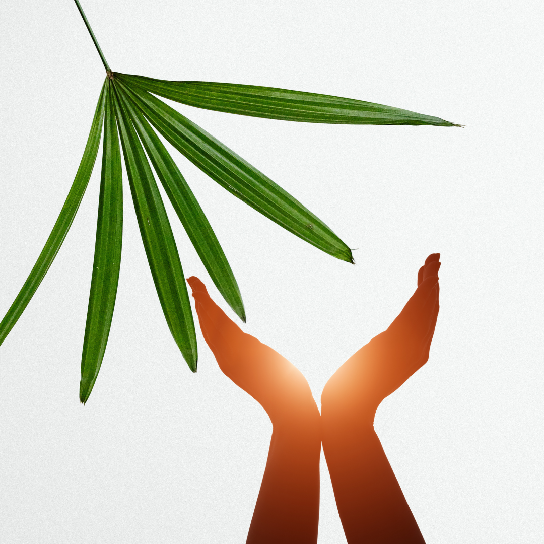 Mindfulness Wellness Medium