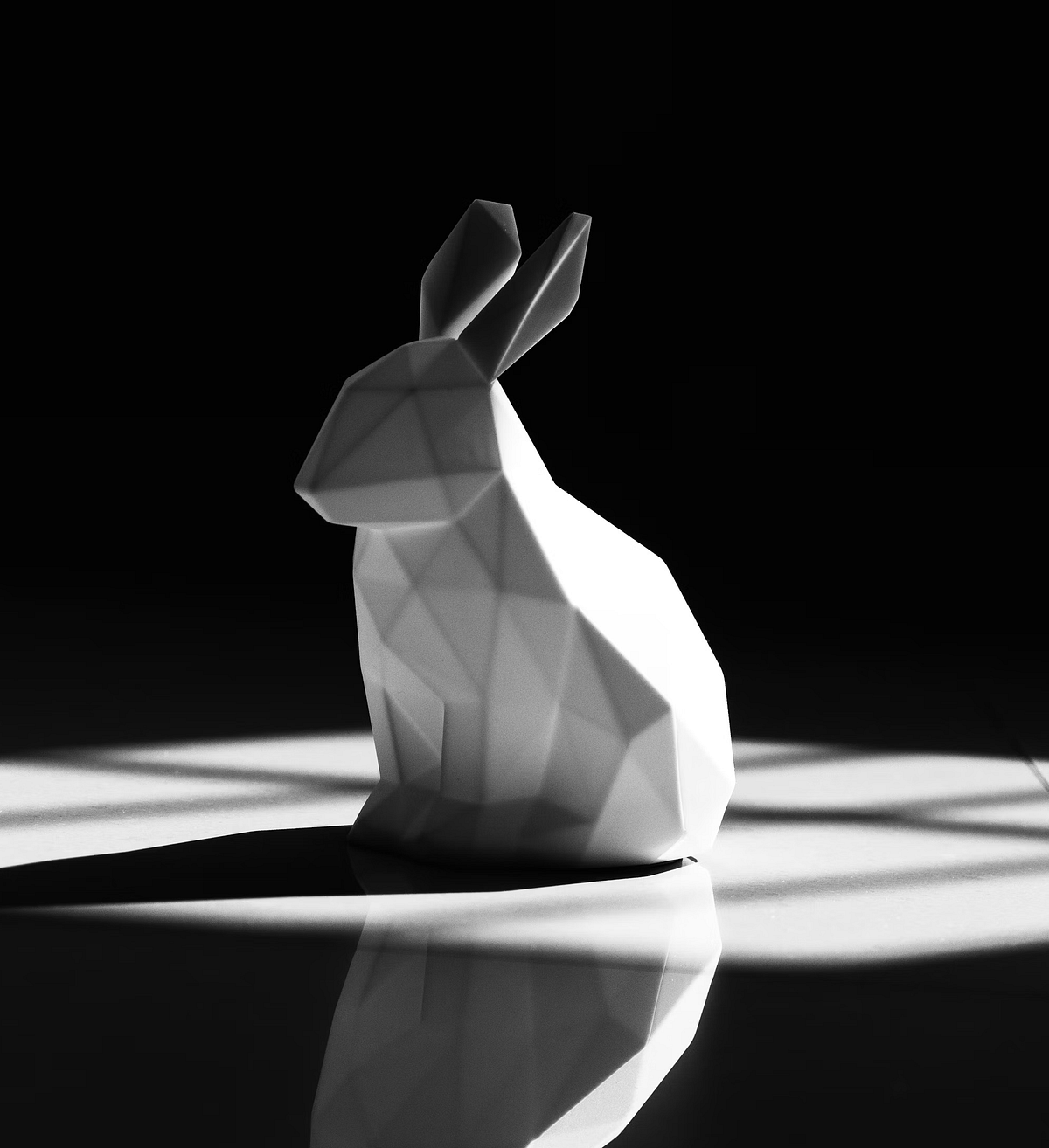 The White Rabbit Journey - Medium