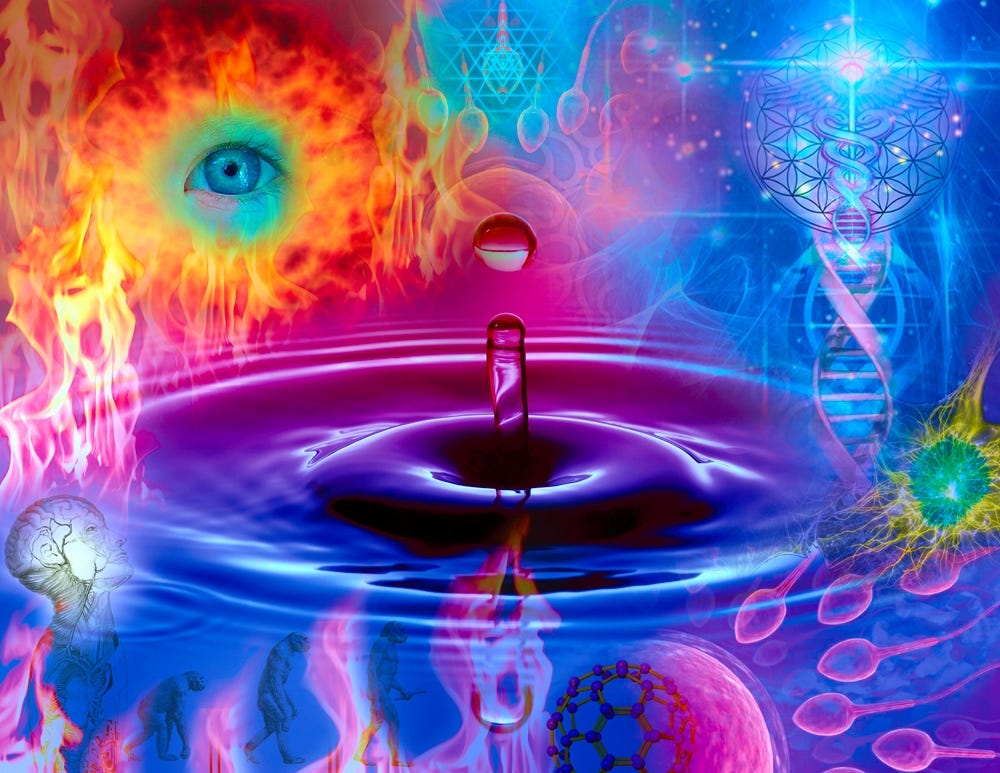 The Soul is a Particle or Wave of the Supreme Being