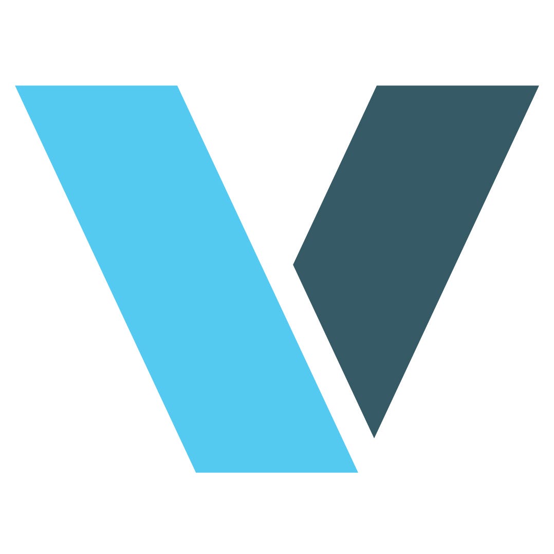 VAIP Foundation – Medium