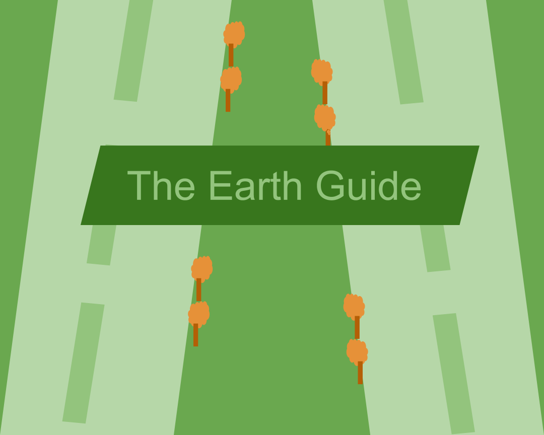 Animals – The Earth Guide – Medium