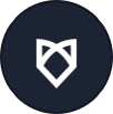 Trending stories published on foxintelligence – Medium
